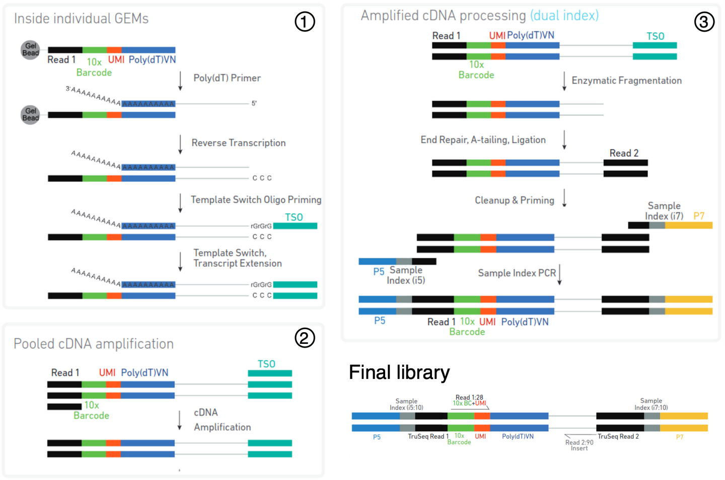 🤩 scRNA-seq | 吐血整理的单细胞入门教程（从原理到代码实操）（二） - 知乎