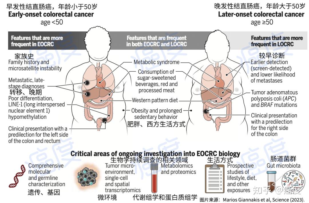 有一类癌症，离年轻人并不远！ 知乎