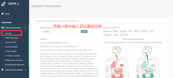 神器GEPIA2在手，不会编程也能轻松挖掘TCGA - 知乎