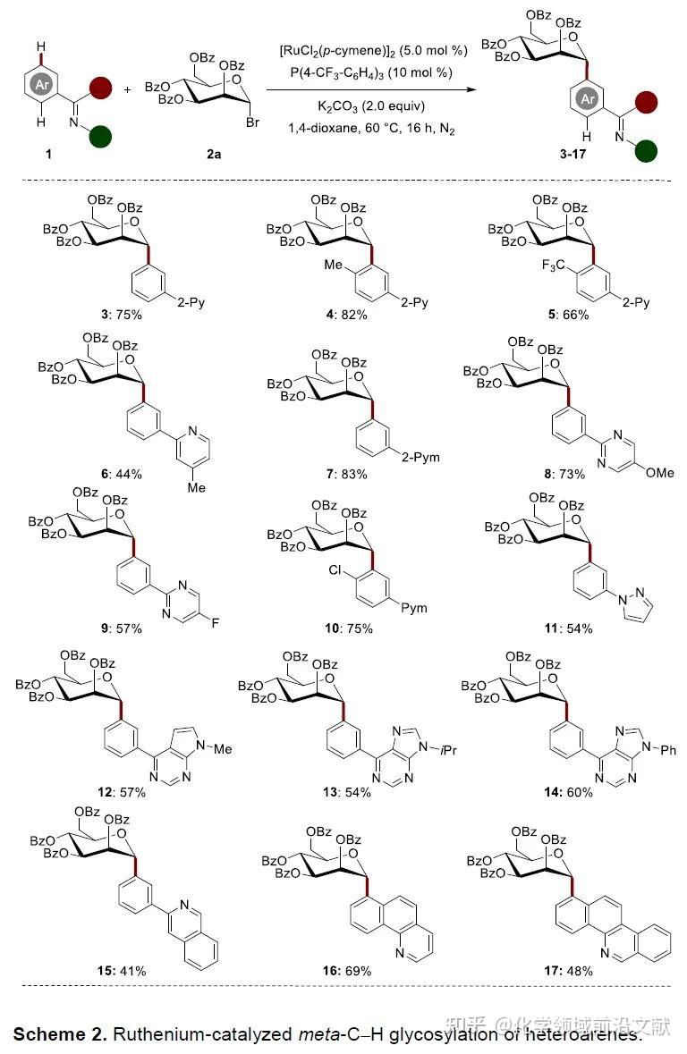 【Angew. Chem.】Ru(II)催化间位C-H糖基化反应：模块化合成间位C-Ar糖苷 - 知乎