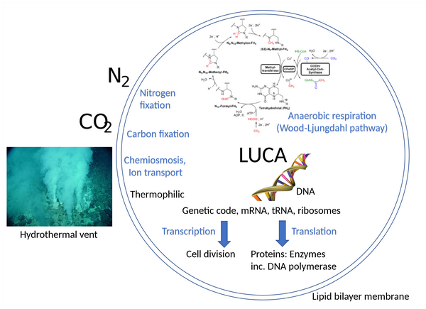 生命起源 / Abiogenesis - 知乎