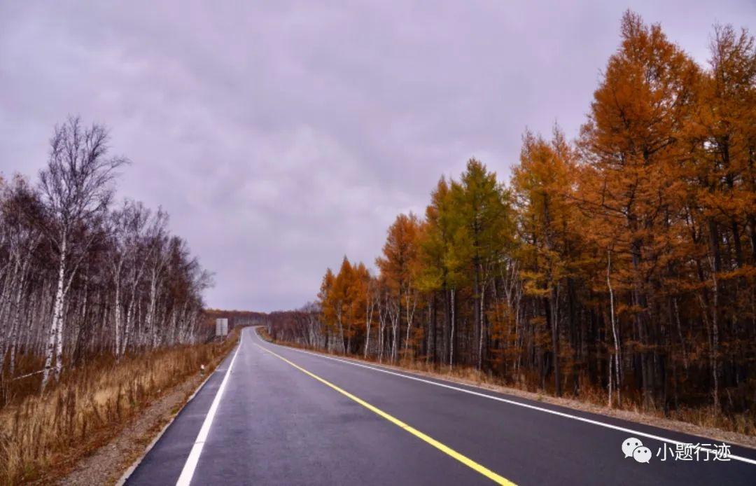 建议收藏！保姆级阿尔山自驾游路线攻略，吃喝玩乐一条龙 - 知乎