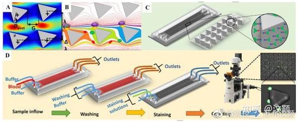 基于微流控芯片技术的CTC检测新方法 - 知乎