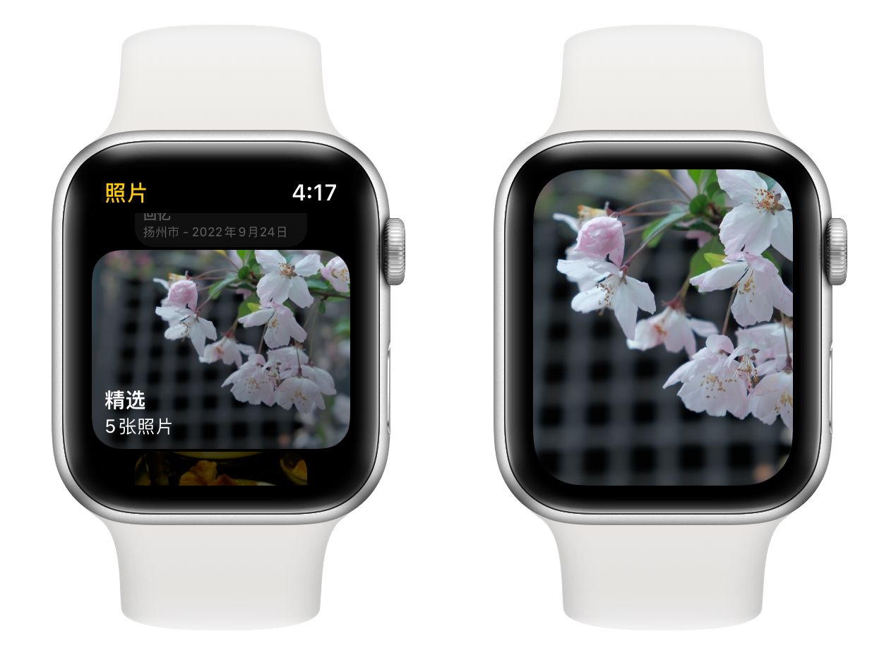 万字详解 Apple Watch 所有自带功能，一次看个爽！ - 知乎
