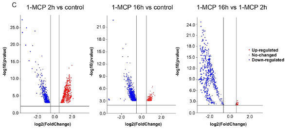 项目文章 | IF>6! ATAC-seq联合RNA-seq揭示转录因子AGL18通过乙烯-生长素交互作用调控番木瓜成熟 - 知乎