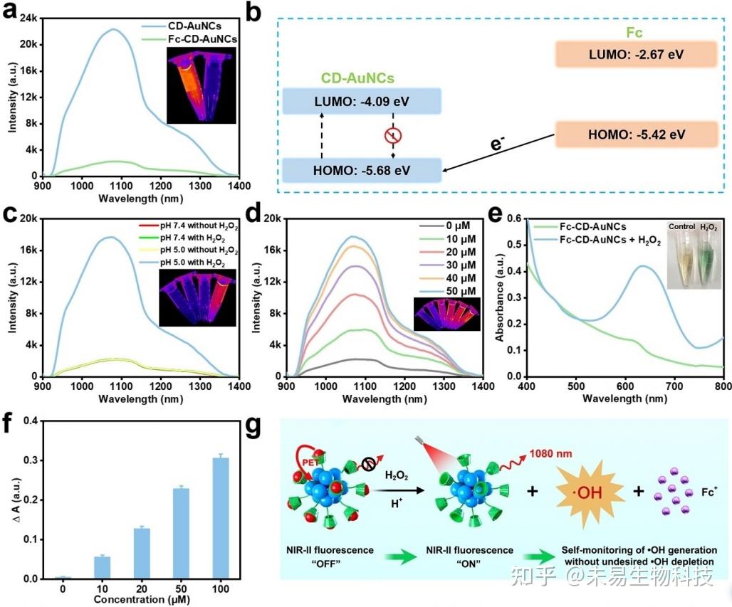 福州大学林立森团队Angew. Chem. Int. Ed. - 知乎
