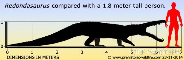 【地球演义】第二百六十三回 九龙颂6：一双碧眼莹秋潭 - 知乎