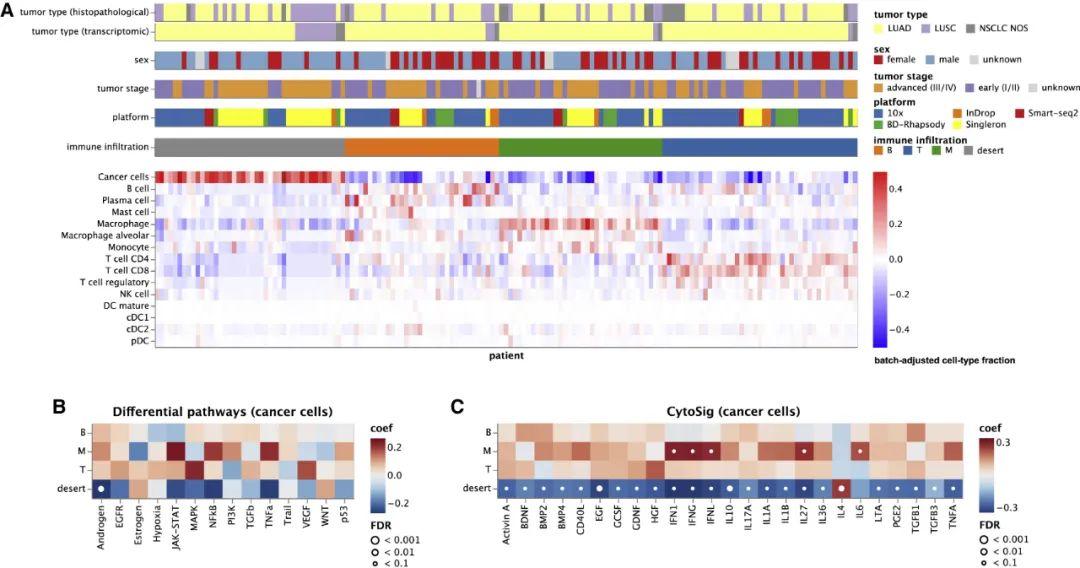 Cancer Cell | 高分辨单细胞图谱揭示非小细胞肺癌中性粒细胞多样性和可塑性 - 知乎