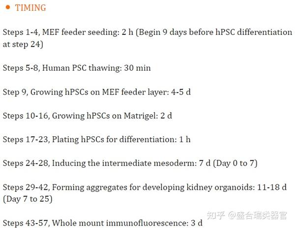 【Nature Protocol】系列：从hPSC中生成肾脏类器官方案（上） - 知乎
