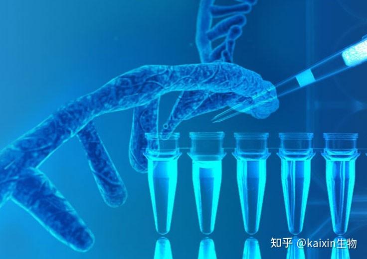 荧光猝灭剂BHQ-1 acid/NHS/azide/amine/BHQ染料染料 - 知乎