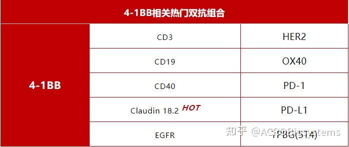 热点不断！基于共刺激分子4-1BB的双特异性抗体阵营扩大 - 知乎