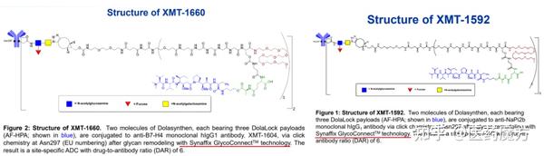 多项授权合作，Synaffix公司ADC专利技术解析 - 知乎
