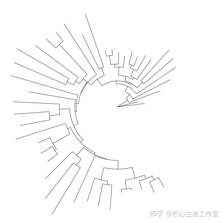 画最美的进化树：ggtreeExtra包进阶使用实例 - 知乎