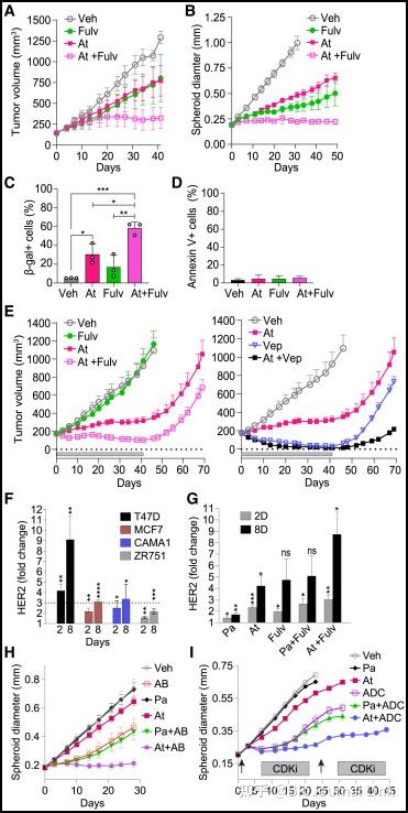 文章 | Cancer.Cell | CDK4选择性抑制提高抗肿瘤功效和安全性 - 知乎