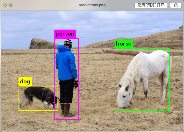 5分钟GET AI - 用 Python 玩转 YOLO - 知乎