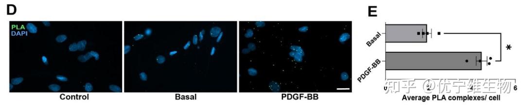 科研干货！Naveni PLA技术&现有文献部分解析 - 知乎