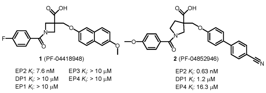 药物发现│EP2拮抗剂（2011-2021）：从发现到治疗的十年之旅 - 知乎