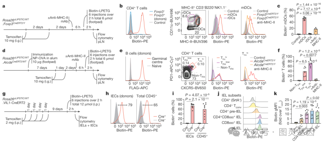 Nature | 洛克菲勒大学开发新方法，定量记录体内免疫细胞间的物理相互作用 - 知乎