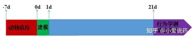 6-OHDA诱导大鼠模型|动物模型构建|大鼠模型构建服务 - 知乎