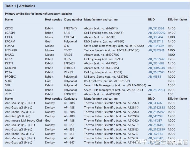 【Nature Protocols】系列：120步学会诱导多能干细胞生成拟胚体 - 知乎