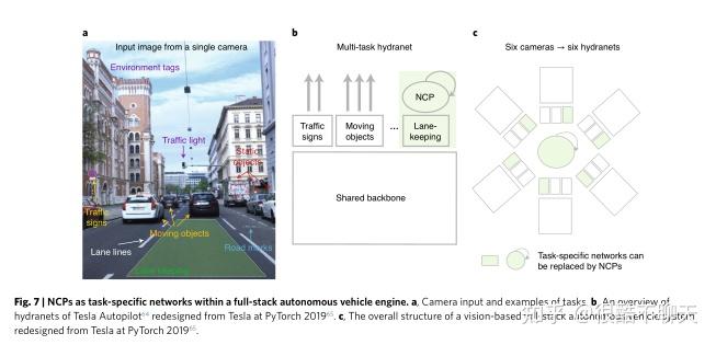 【论文笔记】Neural circuit policies enabling auditable autonomy - 知乎