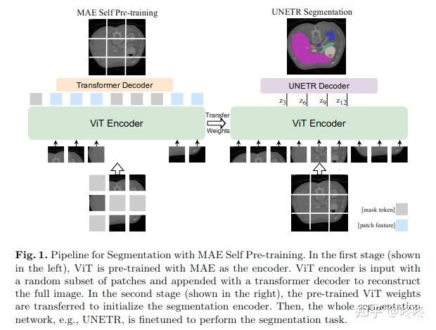 MAE自监督算法在医学图像上的应用 - 知乎