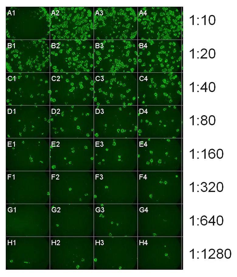 Revvity EnSight超敏化学发光是什么 - 知乎