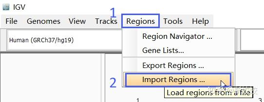 IGV快速上手指南（二）——查看靶向捕获测序数据及探针文件 - 知乎