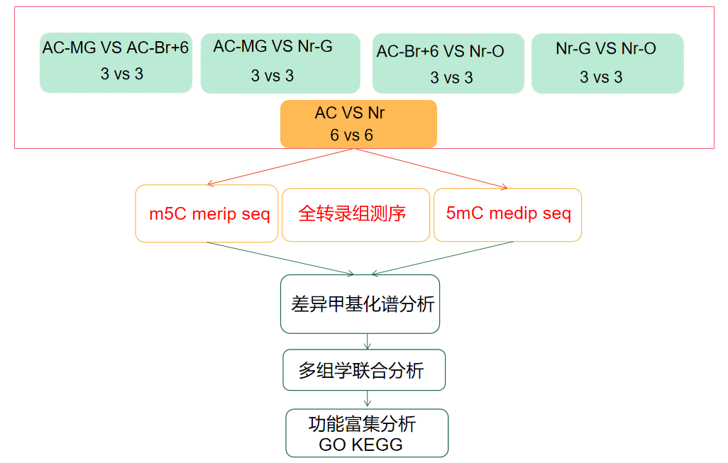 客户文章|1区，m5C RNA甲基化测序&5mC DNA甲基化测序助力番茄果实成熟机制研究 - 知乎