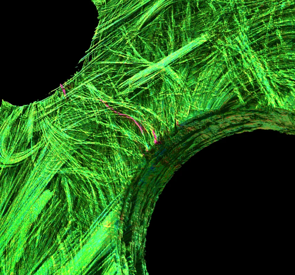 【科普】非接触式测量中的DIC和DVC的区别？ - 知乎