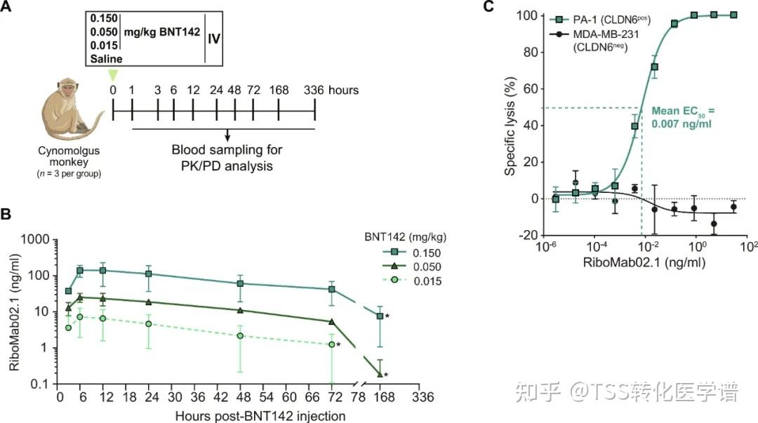 【SCIENCE】子刊～BioNTech 以脂质体递送mRNA型的双特异抗体(RiboMab) - 知乎