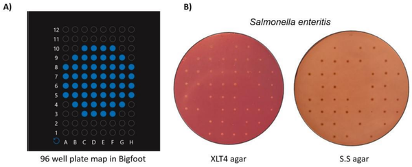 流式细胞术9大应用 - 知乎
