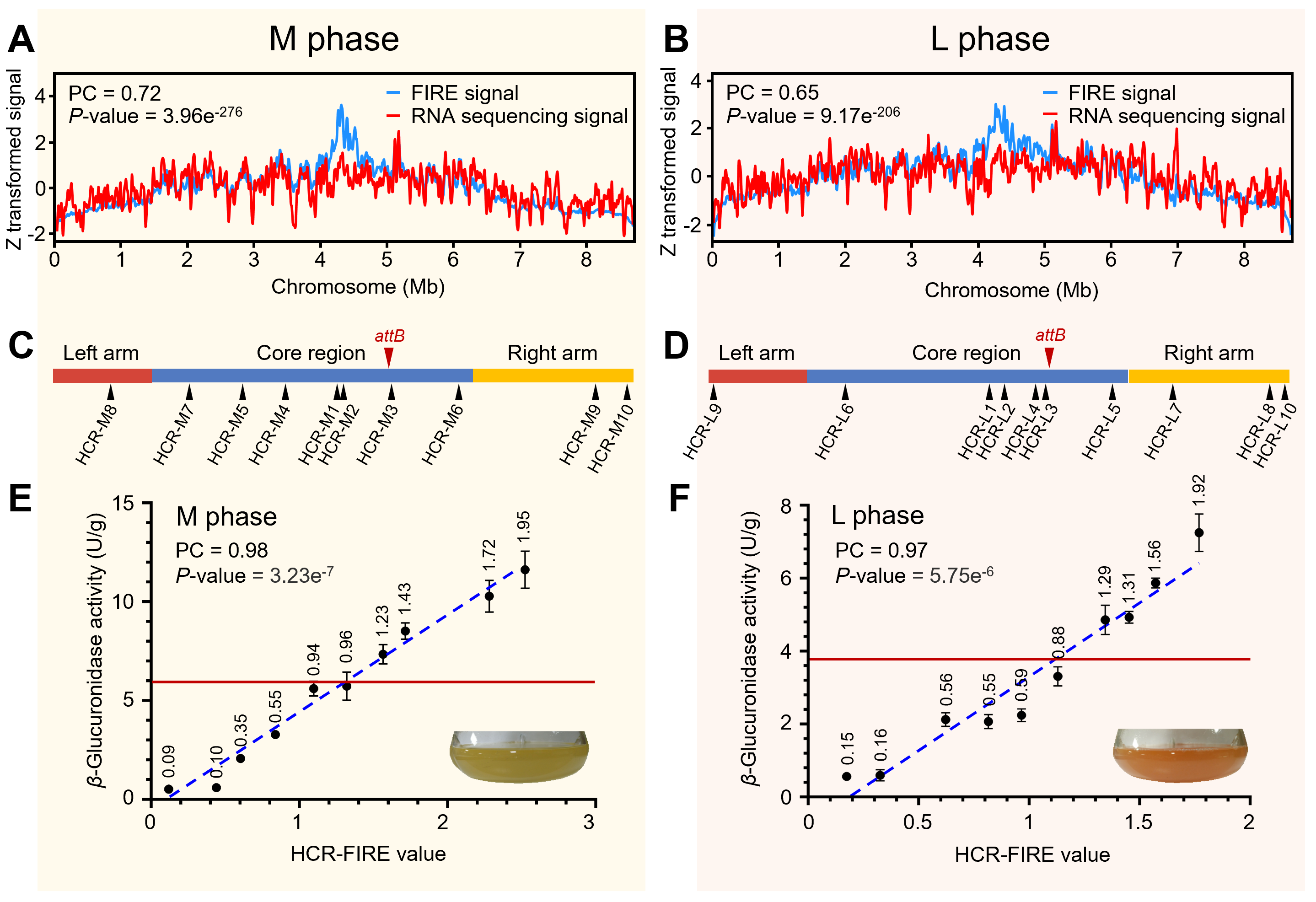 PNAS丨武汉大学孙宇辉教授团队解析链霉菌三维基因组并实现天然产物高产相关应用 - 知乎