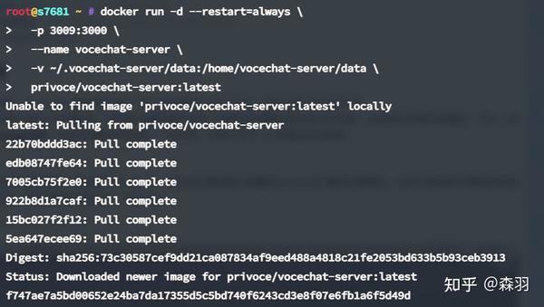 【教程】使用Docker及宝塔面板部署安装VoceChat - 知乎