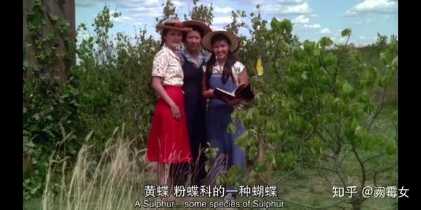 影评│《平凡岁月的魅力》 知乎