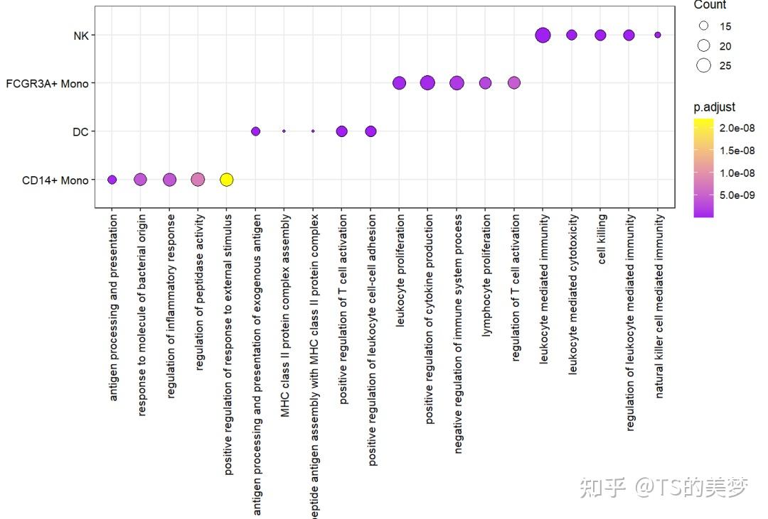 Clusterprofiler多分组富集分析及可视化 - 知乎