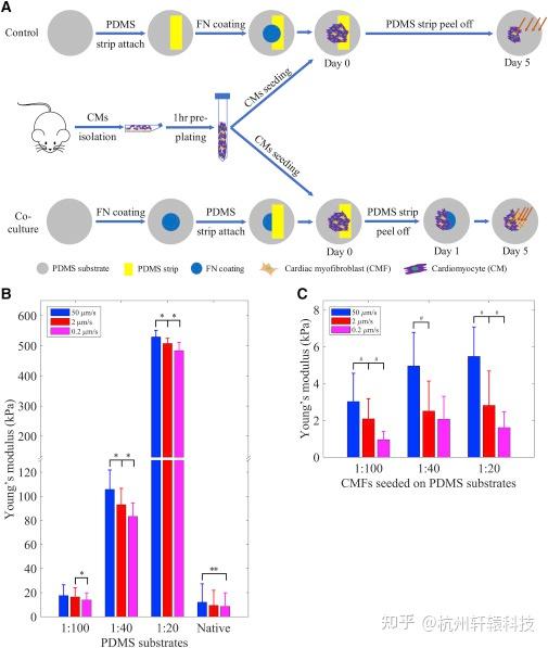 Optics11公司PIUMA压痕仪在心血管研究中的应用 - 知乎