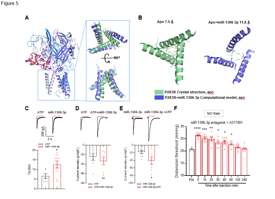 Pain：徐广银团队报道内脏疼痛发生发展的新机制 - 知乎