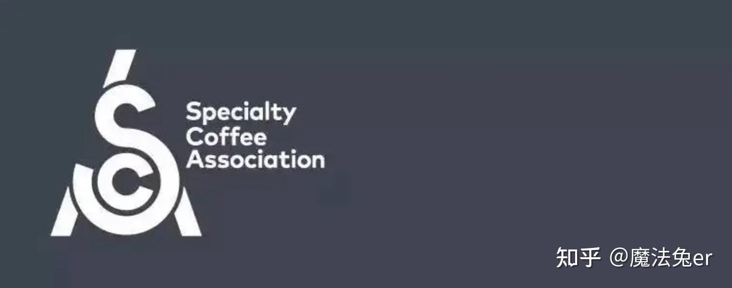 关于咖啡sca证书的一些信息 - 知乎