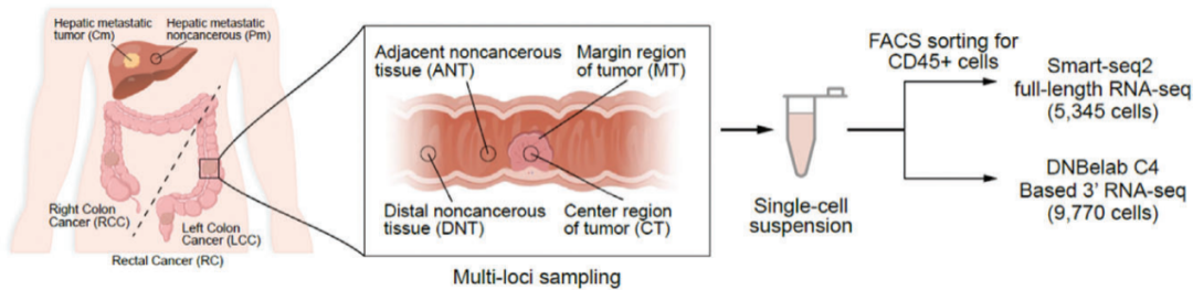 华大DNBelab C4平台应用专题：剖析疾病致病机理 | 时空简讯22期 - 知乎