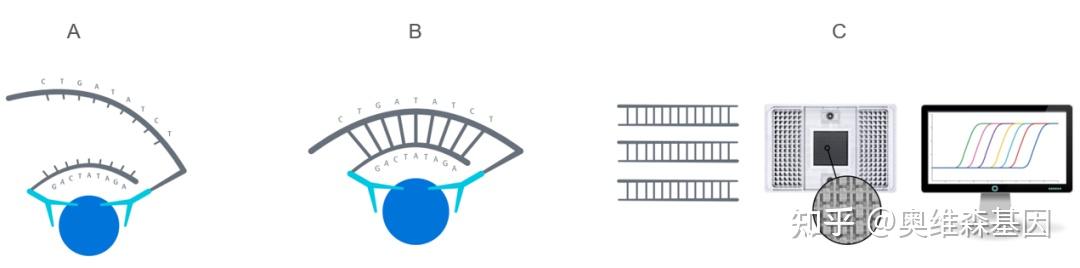 奥维森基因：Olink精准靶向蛋白质组学，助您科研无忧 - 知乎