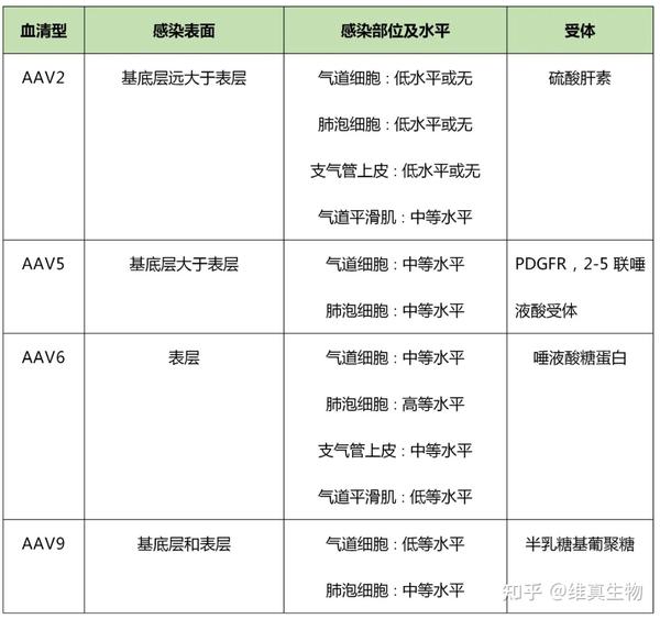 『维真生物-病毒包装』AAV在肺部的应用-血清型 - 知乎