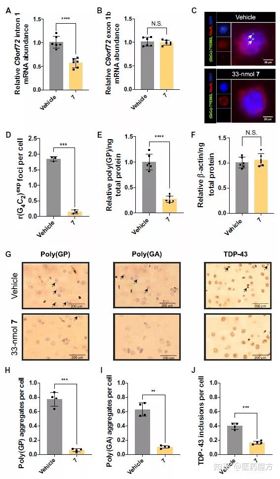 RIBOTAC：开启RNA降解新时代 - 知乎