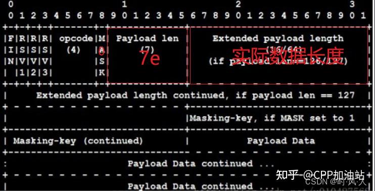 C实现websocket简单服务器 知乎 