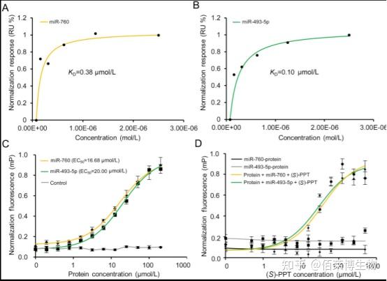 SPR实验案例：利用Biacore进行化合物筛选 - 知乎
