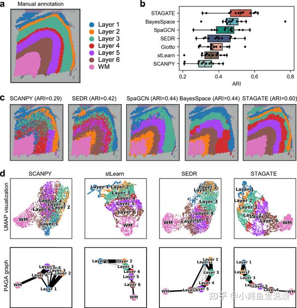 STAGATE 论文阅读整理 - 知乎