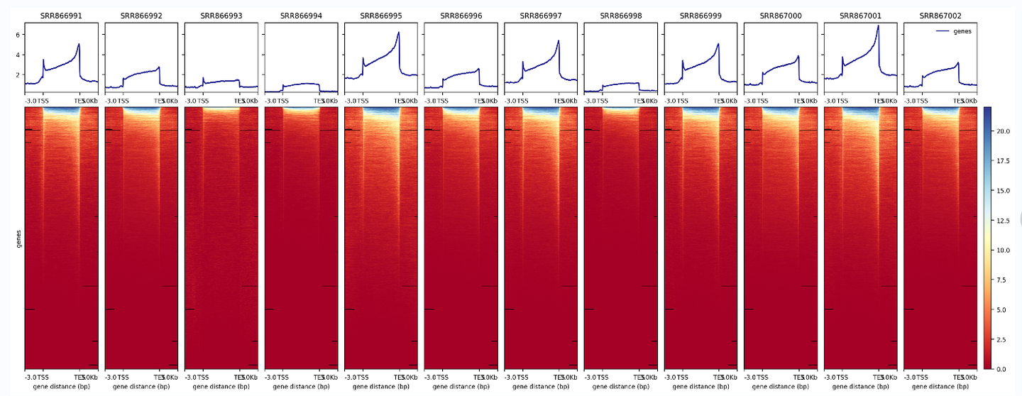 MeRIP-seq分析流程｜m6A-seq分析流程 - 知乎