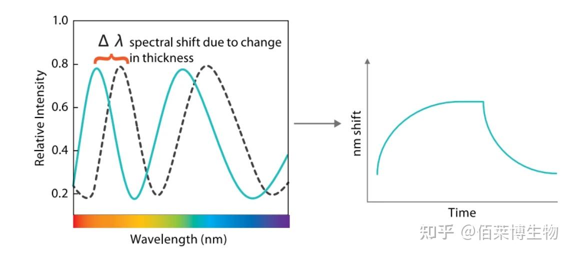 BLI应用案例：利用BLI技术进行小分子药物筛选 - 知乎