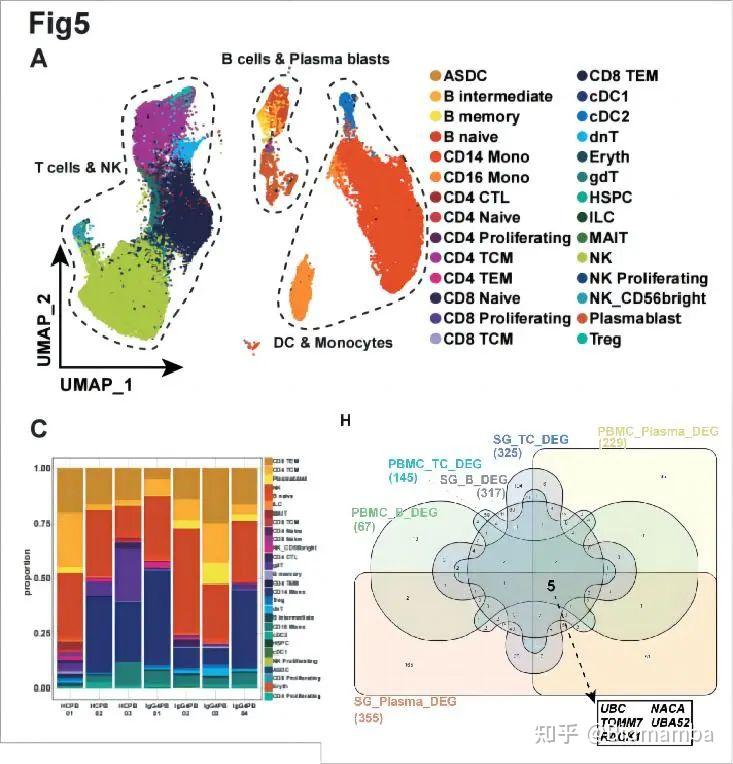 IgG4相关性疾病中颌下腺和血液中的细胞和分子改变 - 知乎