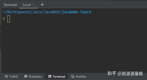打造IDEA+wsl2的Java开发环境（zsh jdk maven） - 知乎